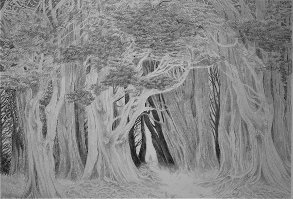 Watercolour and Drawing - Selwyn Community Education